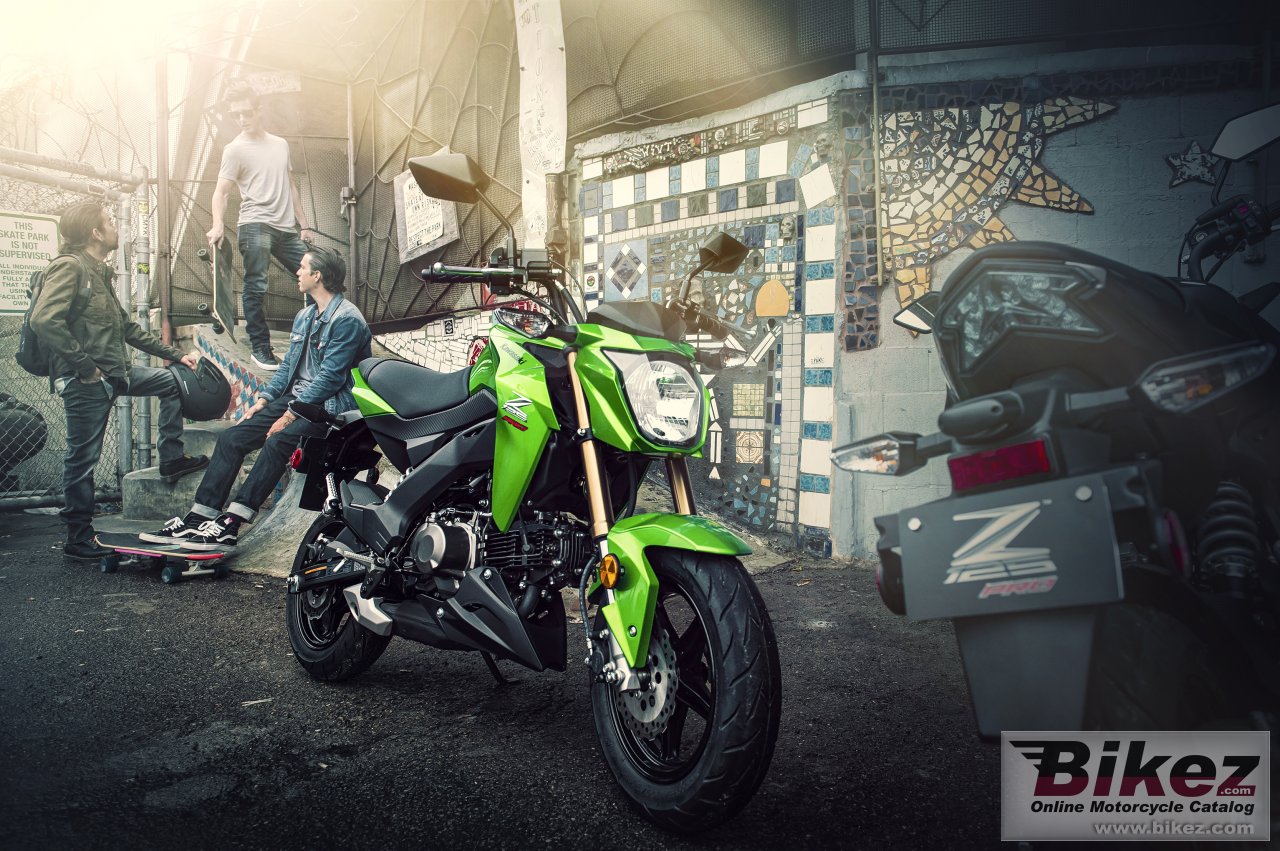 Kawasaki Z125 Pro poster